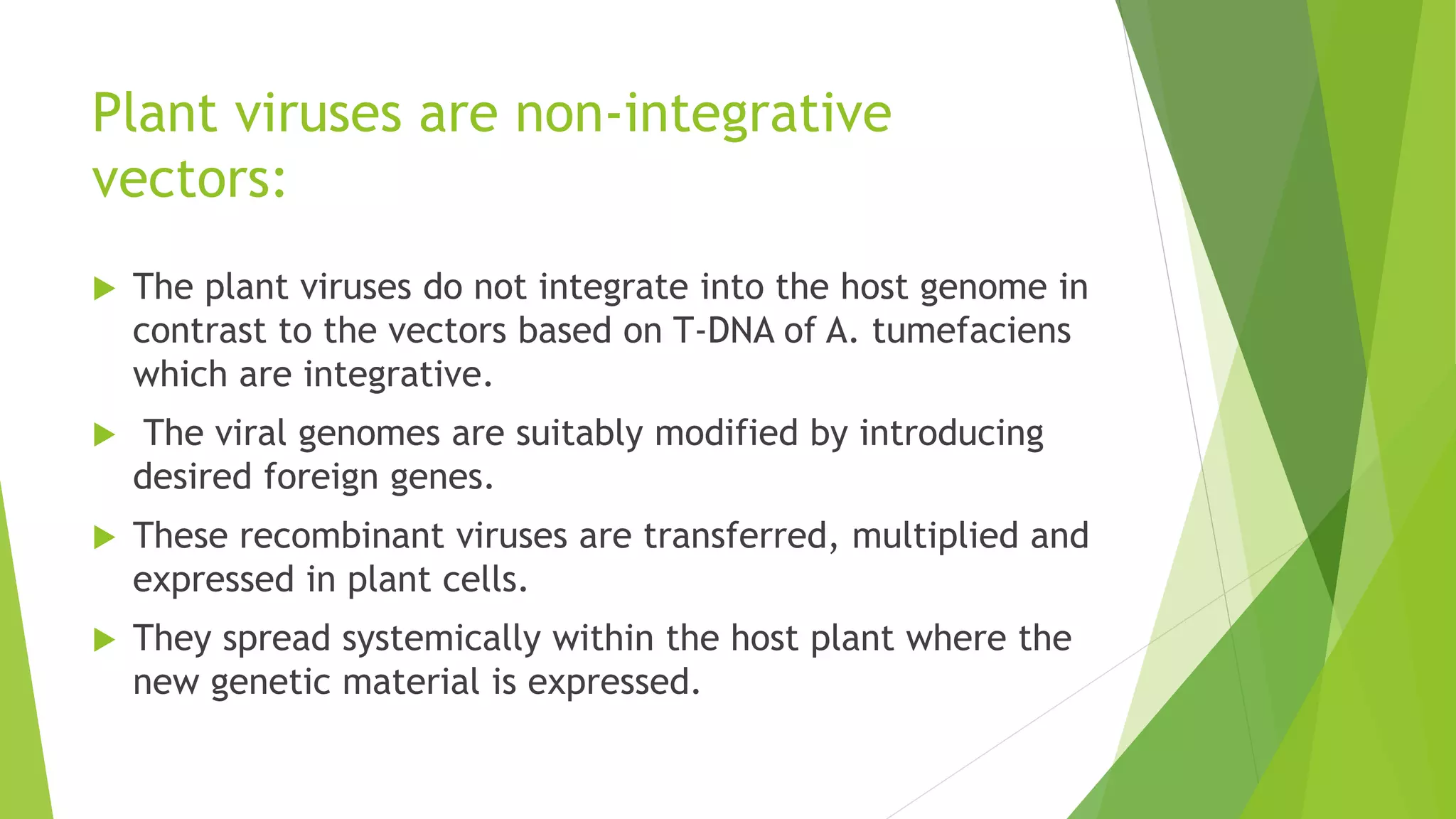Viral vector gene transfer - plant viruses as a vector for gene ...