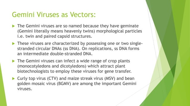 Viral vector gene transfer - plant viruses as a vector for gene ...