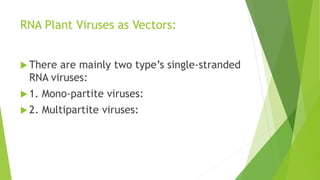 Viral vector gene transfer - plant viruses as a vector for gene ...