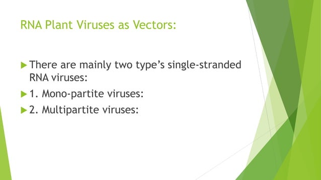 Viral vector gene transfer - plant viruses as a vector for gene ...