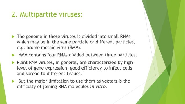 Viral vector gene transfer - plant viruses as a vector for gene ...