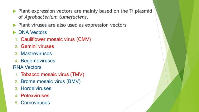 Viral vector gene transfer - plant viruses as a vector for gene transfer | PPTX