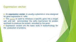 Viral vector gene transfer - plant viruses as a vector for gene ...