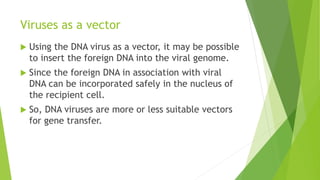 Viral vector gene transfer - plant viruses as a vector for gene ...
