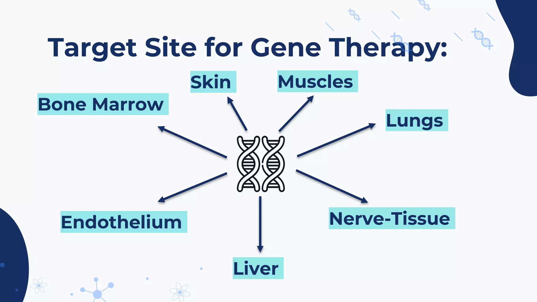 Viral Vector for Gene Therapy | PPTX