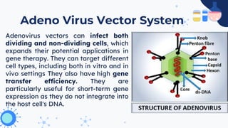 Viral Vector for Gene Therapy | PPTX