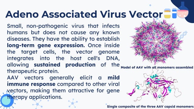 Viral Vector for Gene Therapy | PPTX | Biological Sciences | Science