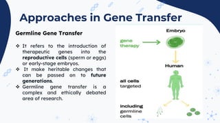 Viral Vector for Gene Therapy | PPTX