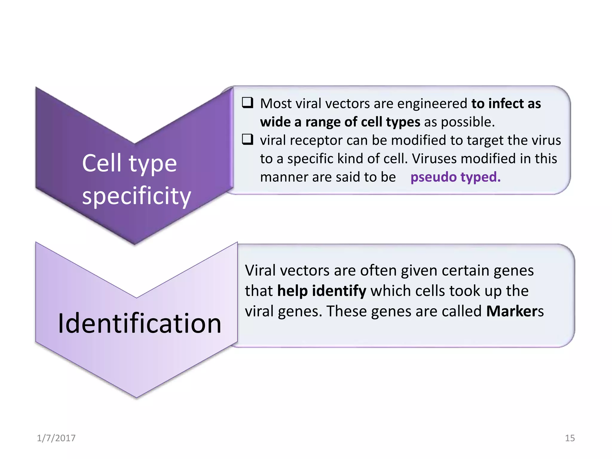 Viral vectors in virology | PPTX