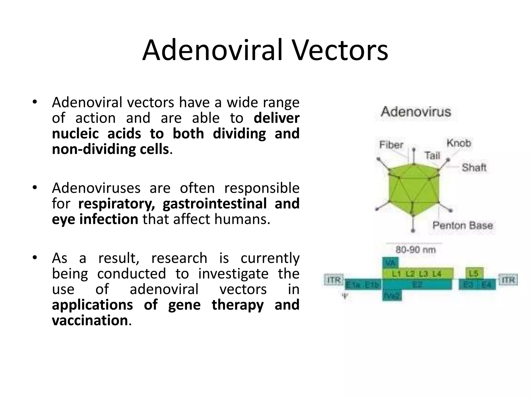 Viral vectors in virology | PPTX