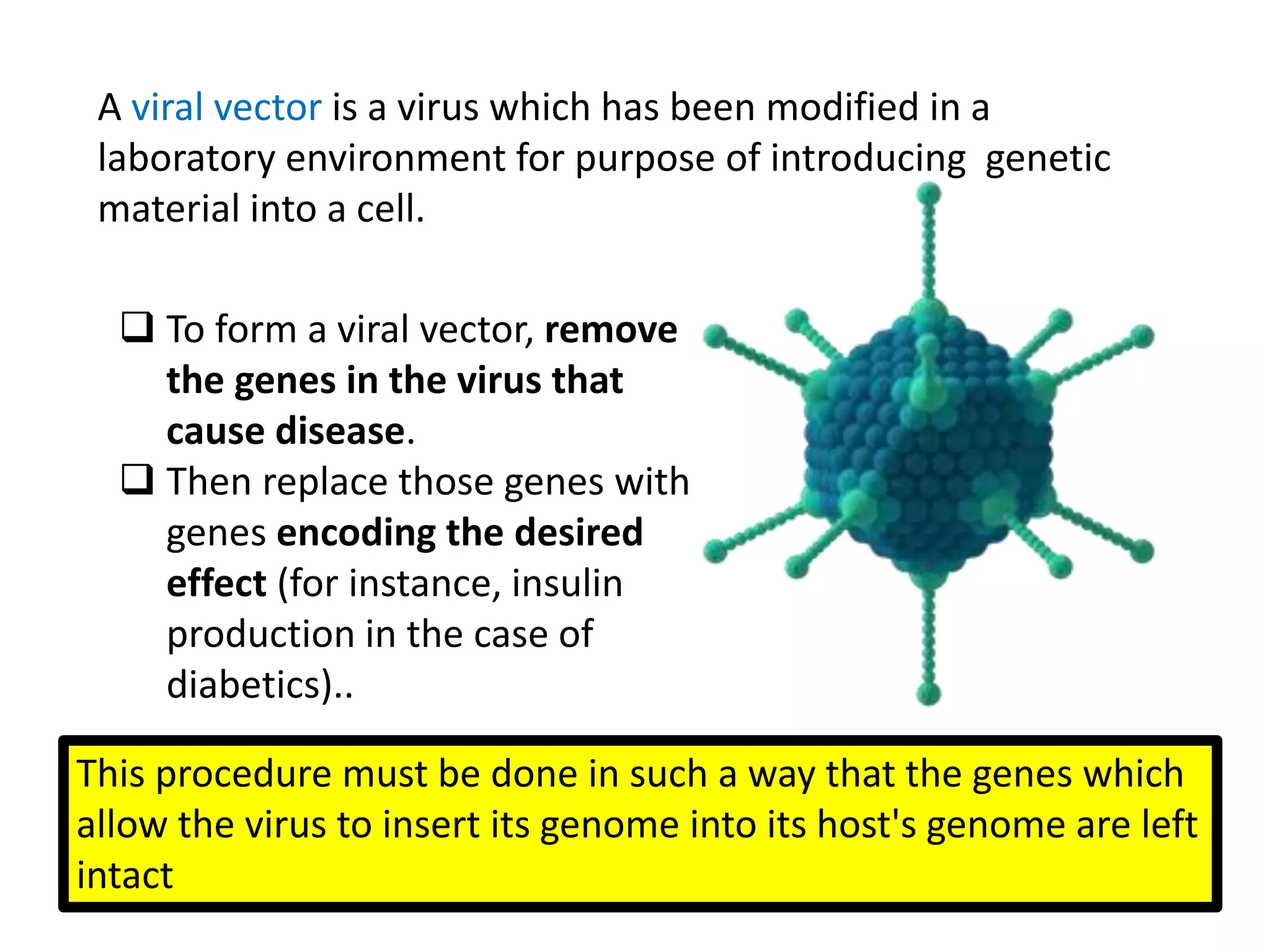Viral vectors in virology | PPTX