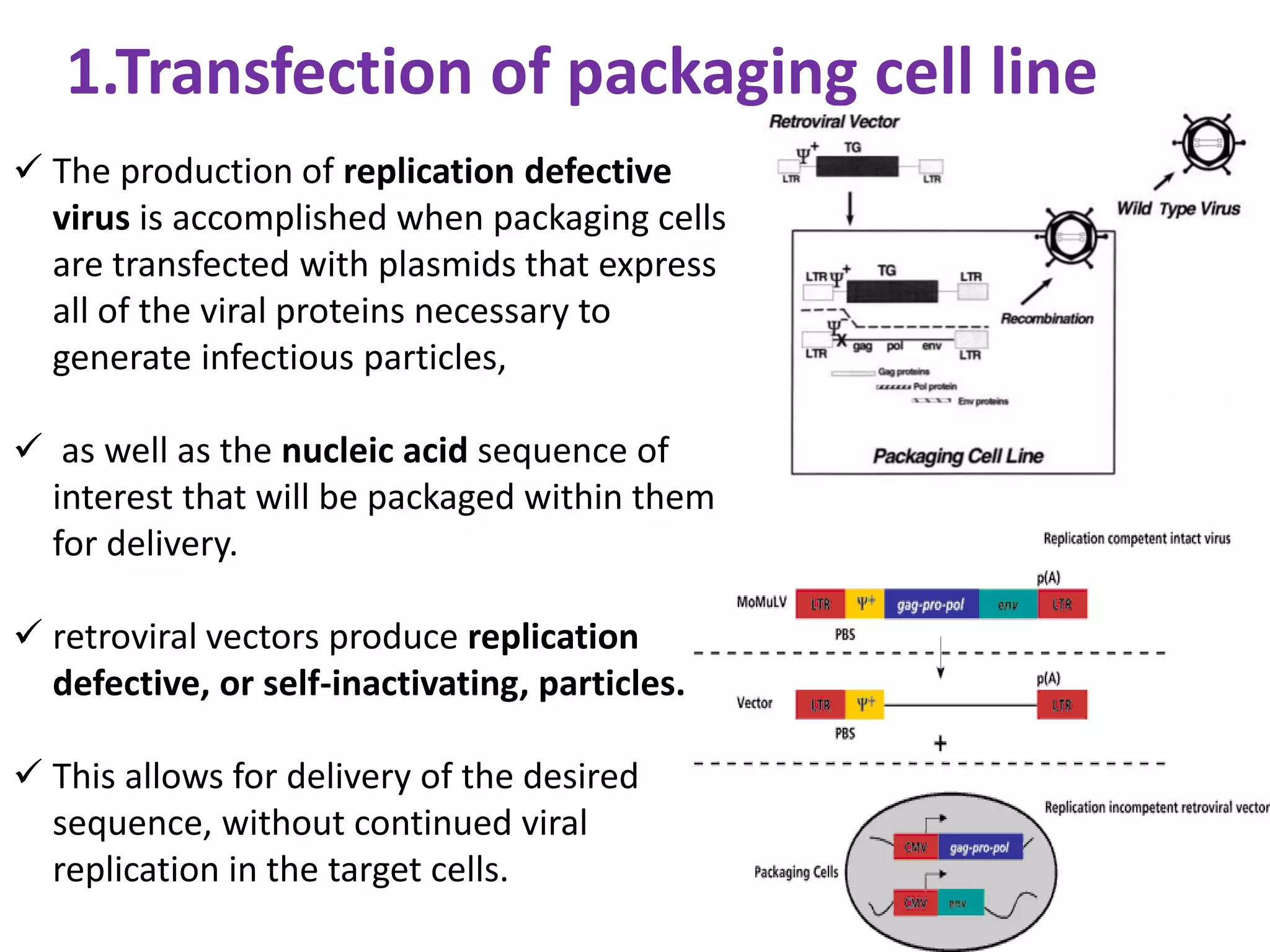 Viral vectors in virology | PPTX