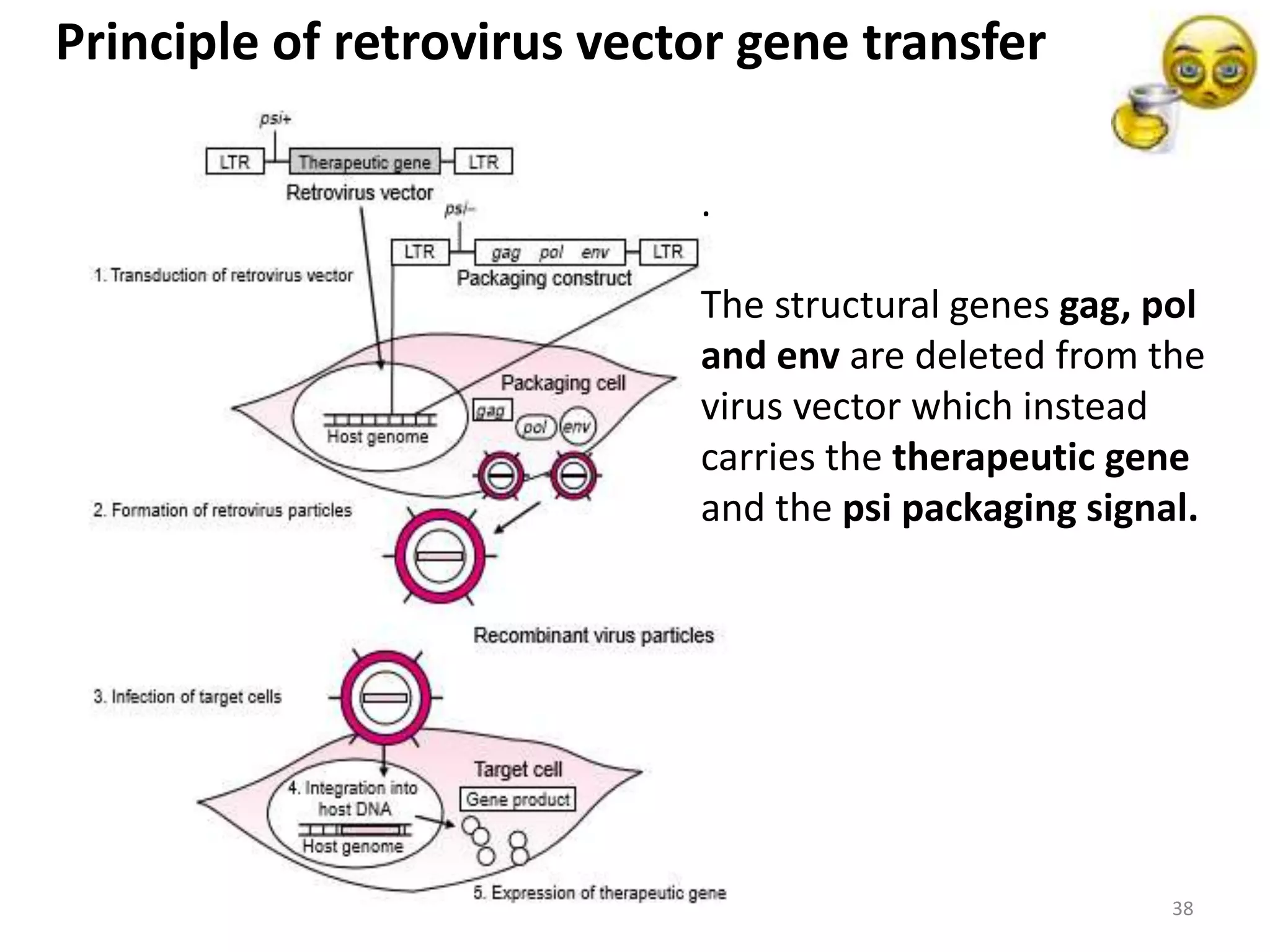 Viral vectors in virology | PPTX