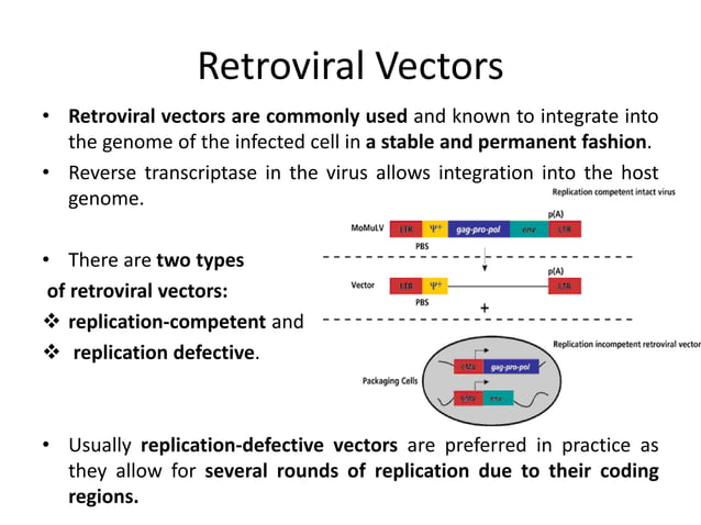 Viral vectors in virology | PPTX
