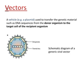 Viral vectors in virology | PPTX