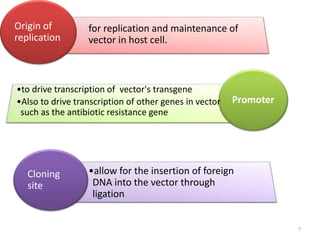Viral vectors in virology | PPTX