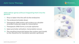 Viral vectors Gene Replacement Therapy.pptx