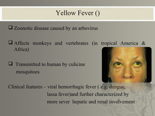 Viral zoonoses | PPT | Infectious Diseases | Diseases and Conditions
