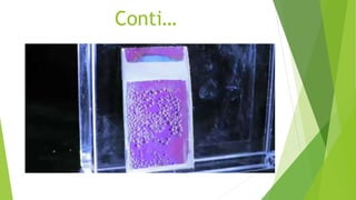 Artificial leaf technology | PPTX