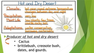 Desert ecosystem and component of ecosystem by Virender.ESDM.pptxpptx ...