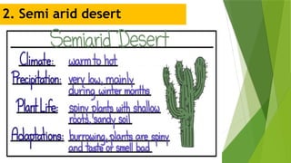 Desert ecosystem and component of ecosystem by Virender.ESDM.pptxpptx | PPT