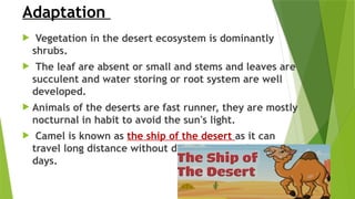 Desert ecosystem and component of ecosystem by Virender.ESDM.pptxpptx | PPT