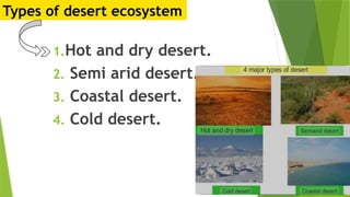 Desert ecosystem and component of ecosystem by Virender.ESDM.pptxpptx ...