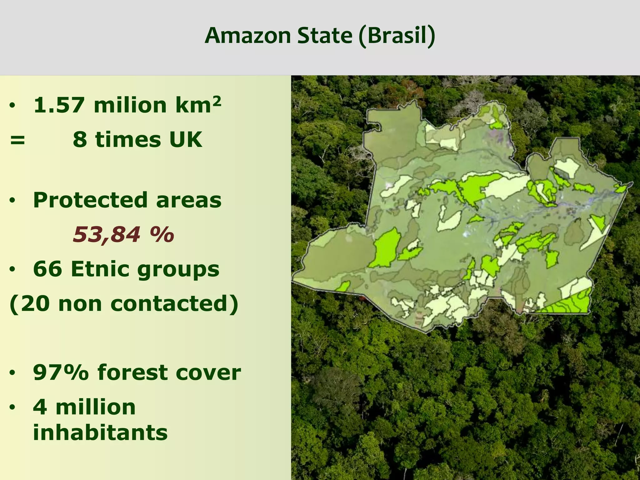 Lessons learned from sustainable development in the Amazon | PDF