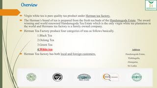 Herman Virgin white-tea | PPT