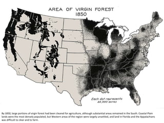 Virgin Forests Cover in the U.S. | PPT