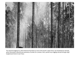 Virgin Forests Cover in the U.S. | PPT