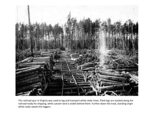 Virgin Forests Cover in the U.S. | PPT
