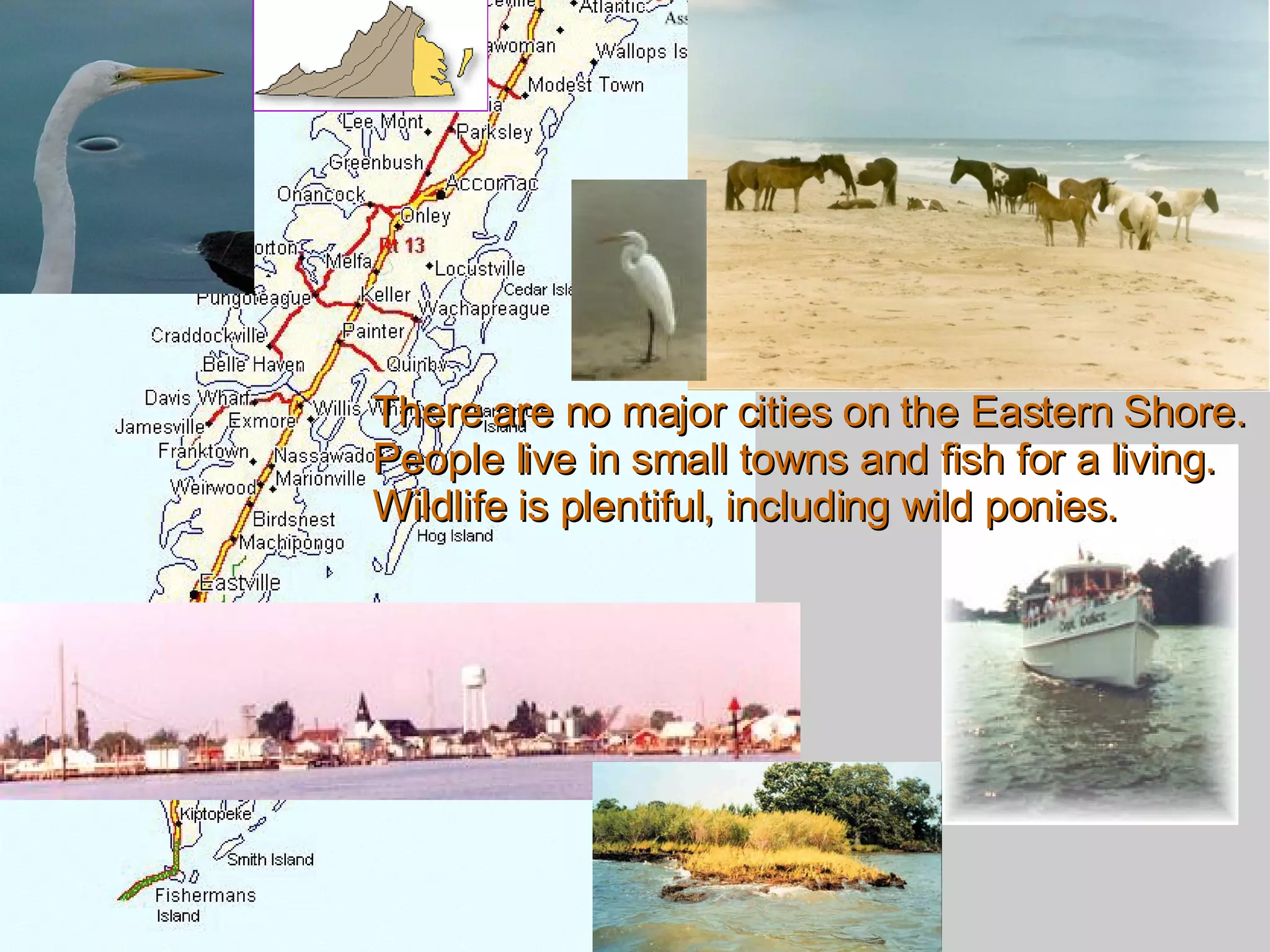 Virginia Regions Powerpoint 1 | PPT