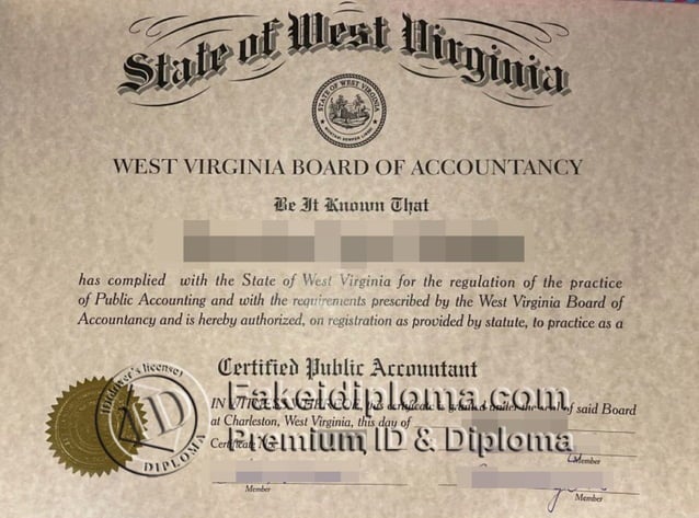 Virginia CPA certificate | PDF