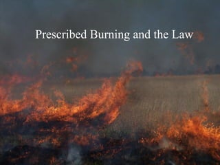 Virginia Fire Burning Laws | PDF