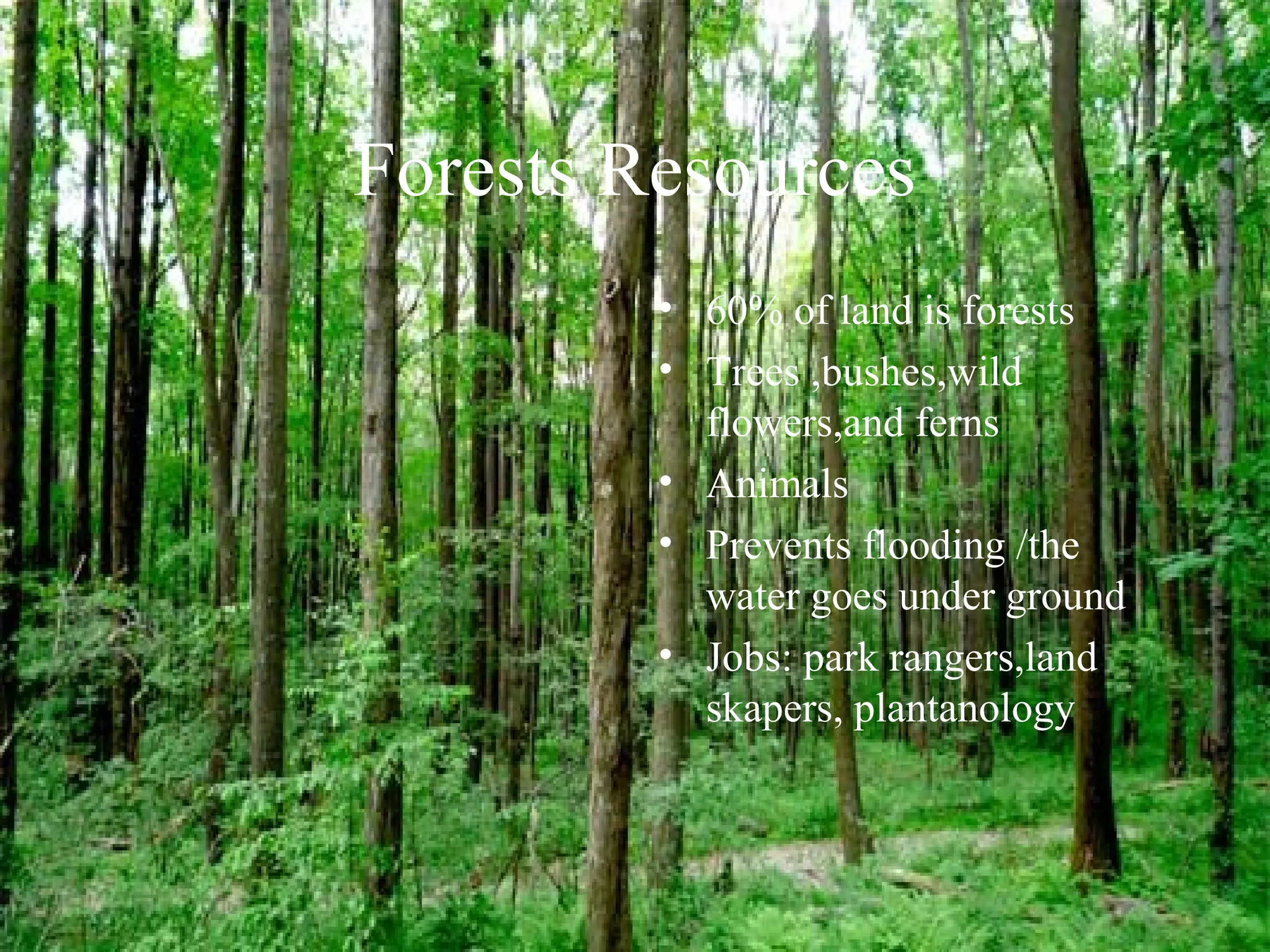 Virginia is for natural resource lovers Elena and Chloe | PPT