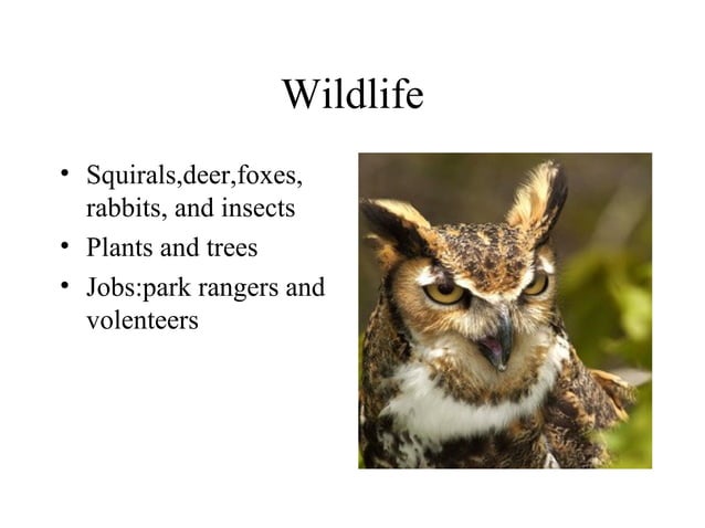 Virginia is for natural resource lovers Elena and Chloe | PPT