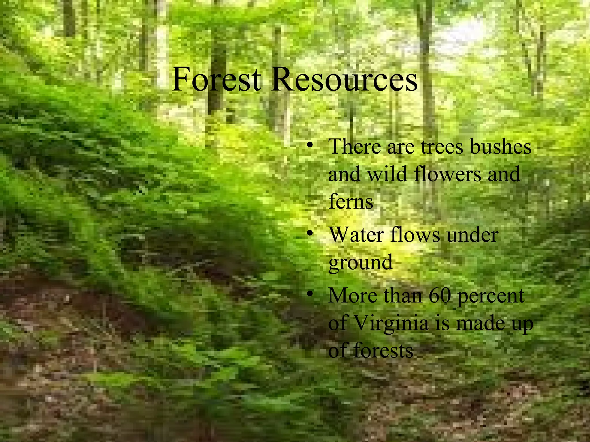 Virginia is for natural resource lovers Mary Catherine and Isabelle | PPT