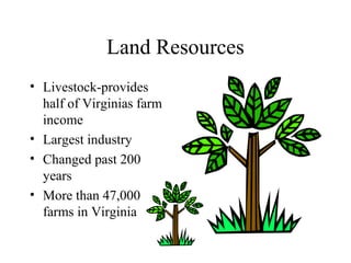 Virginia is for natural resource lovers Mary Catherine and Isabelle | PPT