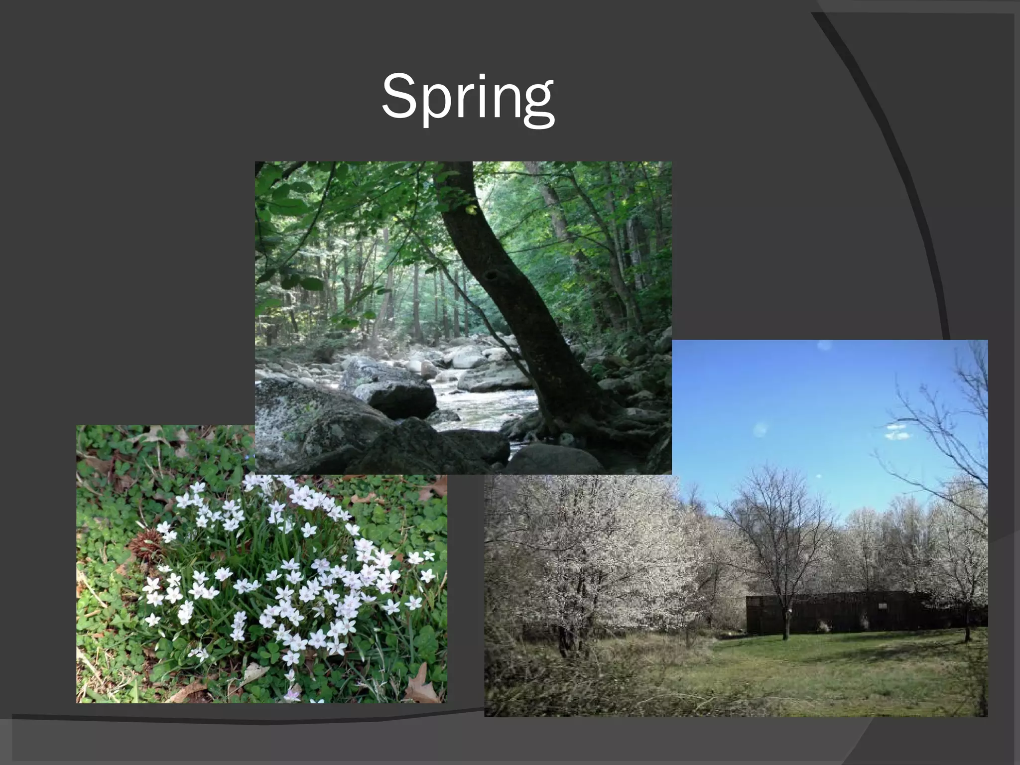 Virginia’S Climate | PPT