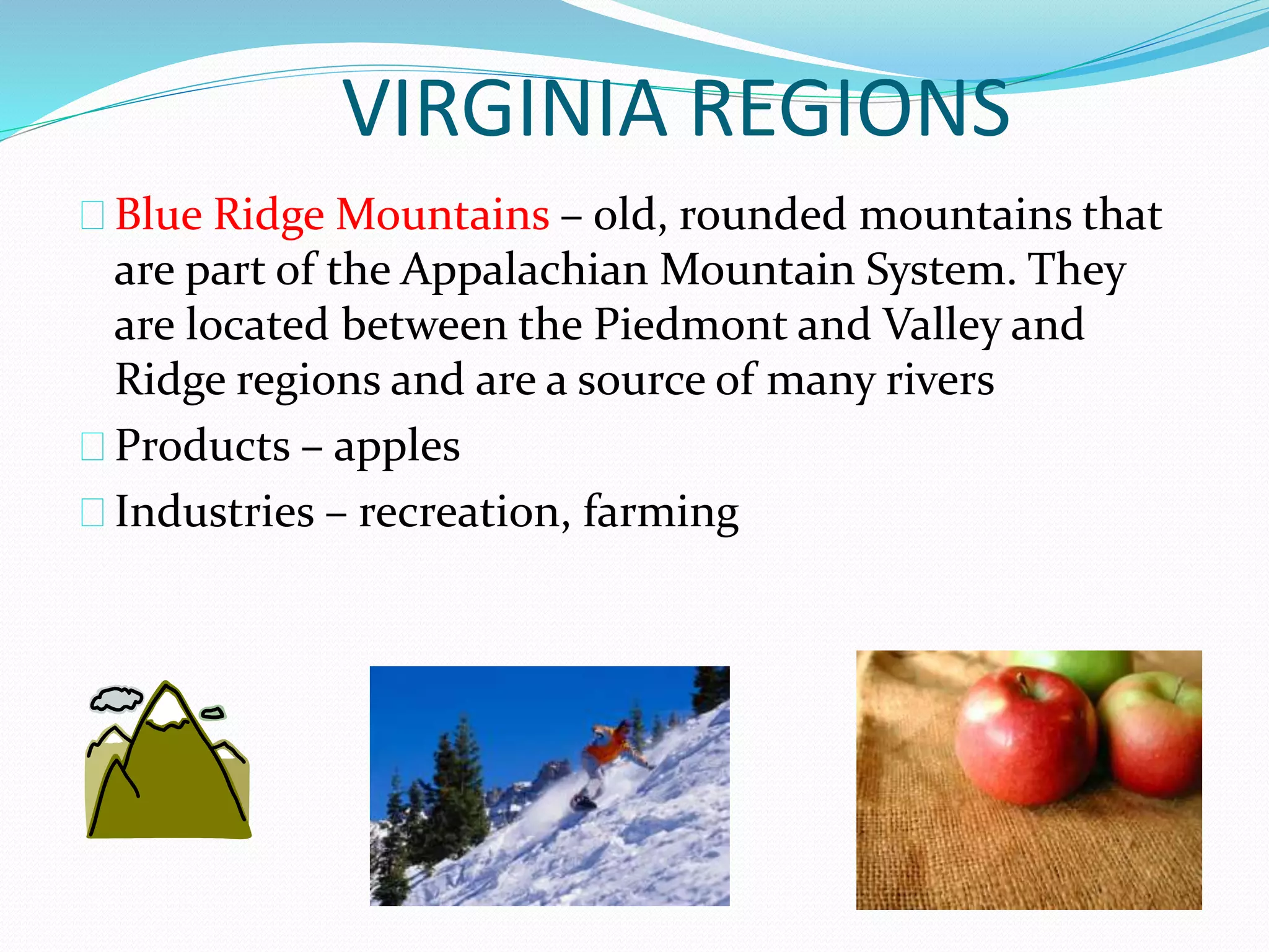 Virginia studies vs. 2 a - c | PPTX