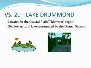 Virginia studies vs. 2 a - c | PPTX