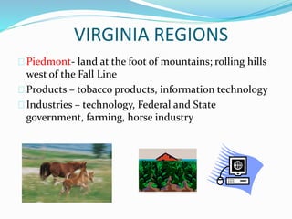 Virginia studies vs. 2 a - c | PPTX