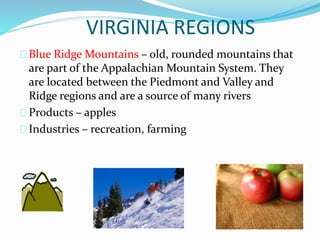 Virginia studies vs. 2 a - c | PPTX