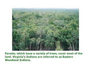 Virginia Studies Sol Posters Eastern Woodland Indians | PPT