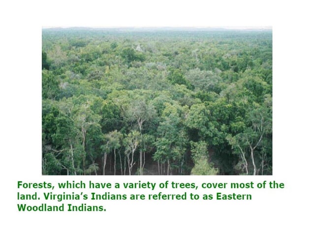 Virginia Studies Sol Posters Eastern Woodland Indians | PPT