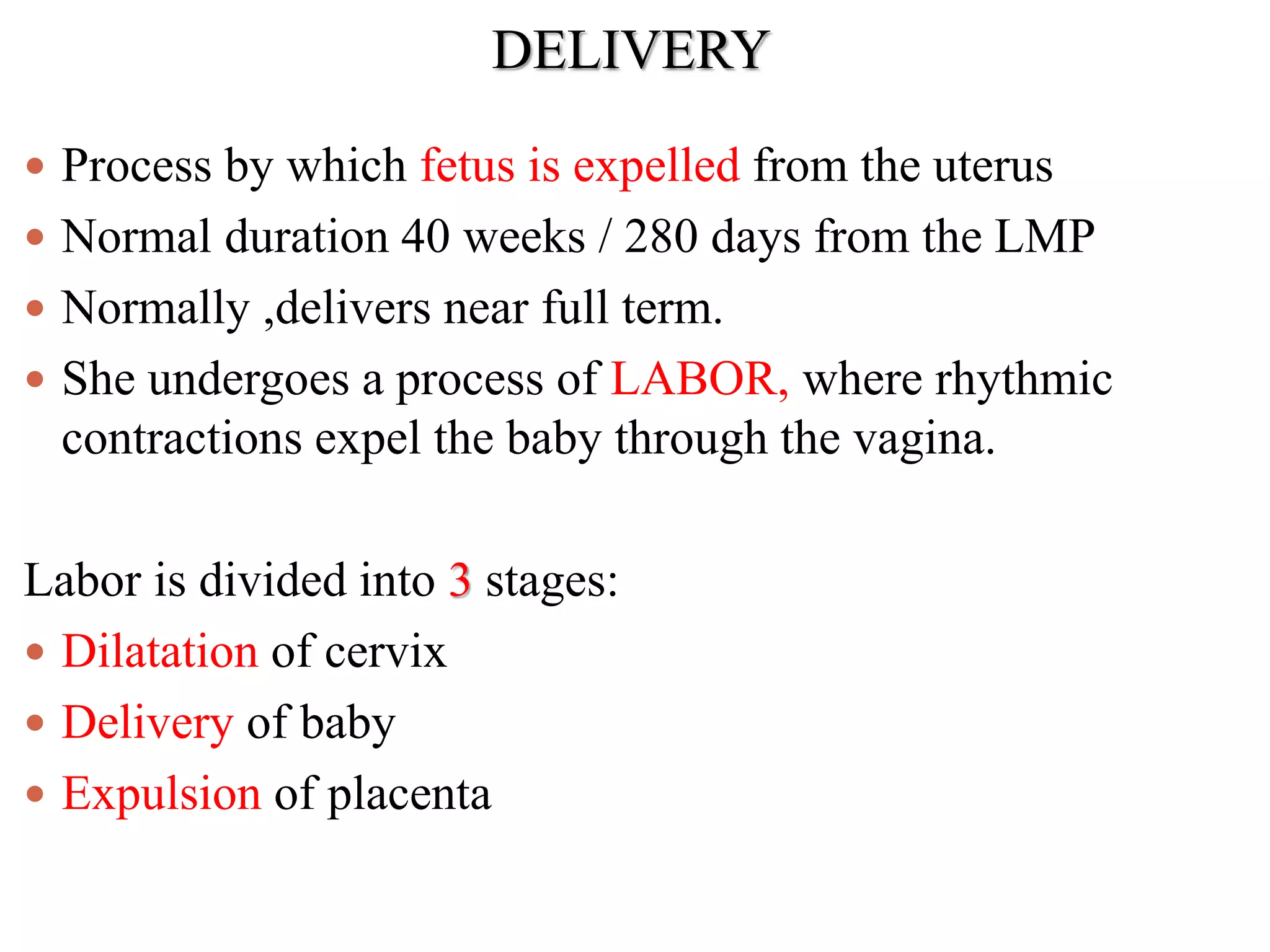 Virginity, pregnancy and delivery | PPTX