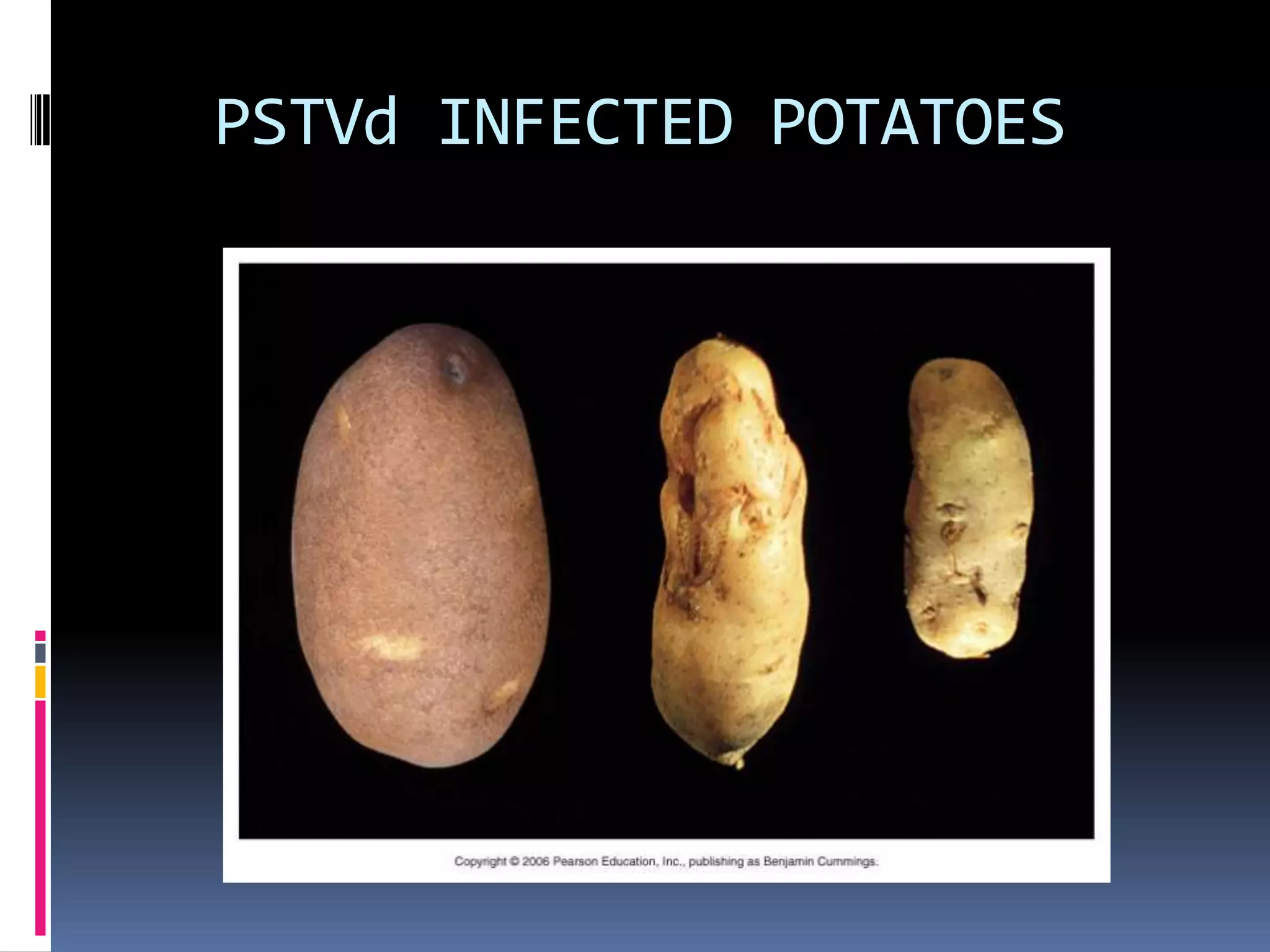 Viriods and prions | PPTX