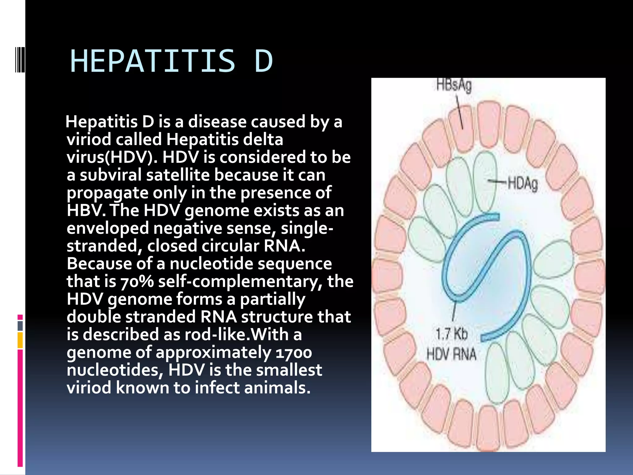 Viriods and prions | PPTX