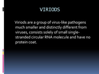 Viriods and prions | PPTX